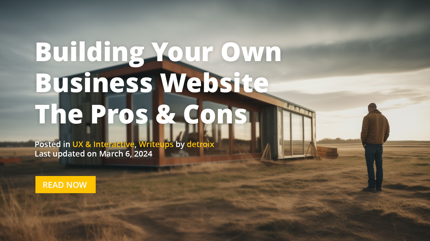 Building Your Own Business Website - The Pros & Cons | Detroix Digital